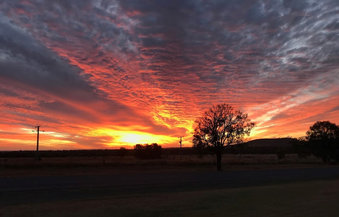 Things To Do Callide Dam,Biloela,Thargool for families